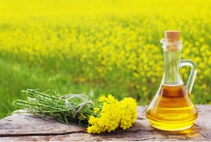 Les huiles raffinées vrac de colza - Cevital Agro-Industrie